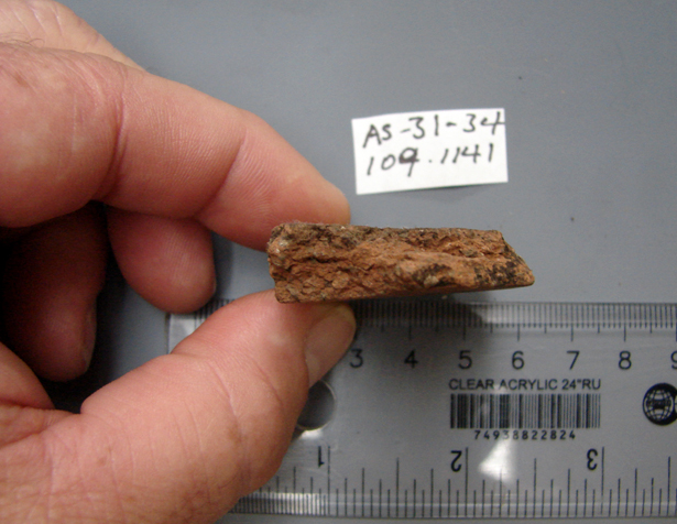 The To'aga Site - National Park of American Samoa (U.S. National Park ...