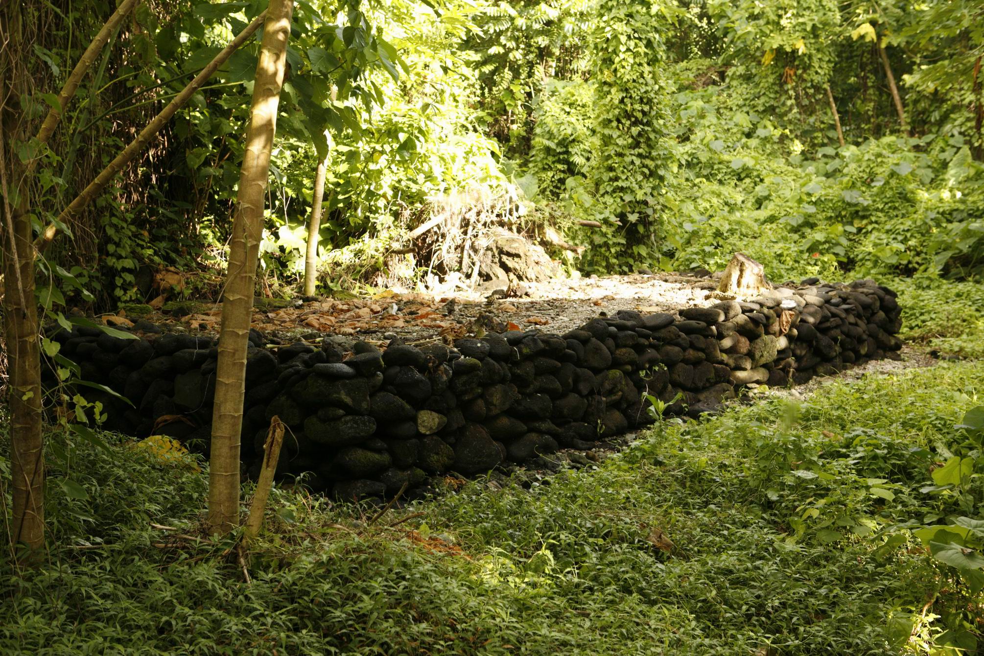 Archeology - National Park of American Samoa (U.S. National Park Service)