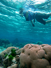 Snorkeling and Diving - National Park of American Samoa (U.S. National ...