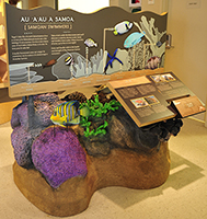 Indoor Activities - National Park of American Samoa (U.S. National Park ...