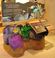 Indoor Activities - National Park of American Samoa (U.S. National Park ...