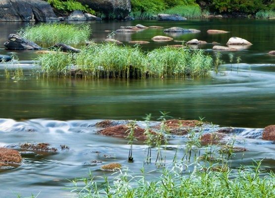 2013 Obed Photo Contest Winners - Obed Wild & Scenic River (U.S ...