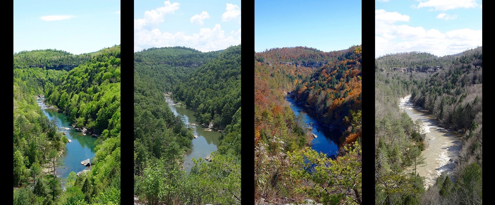 Annual Obed Photo Contest - Obed Wild & Scenic River (U.S. National ...