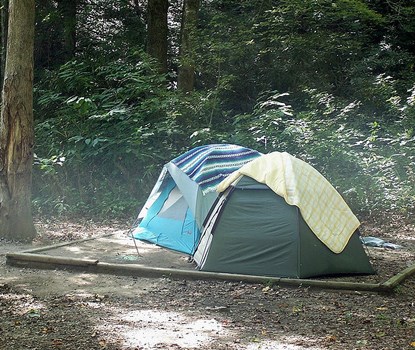 Rock Creek Campground page - Obed Wild & Scenic River (U.S. National ...