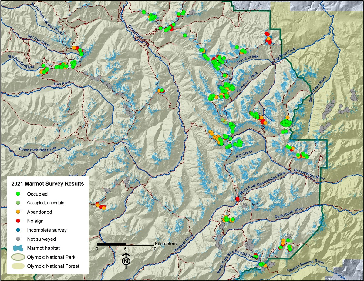 2021 Marmot Monitoring Results - Olympic National Park (U.S. National ...