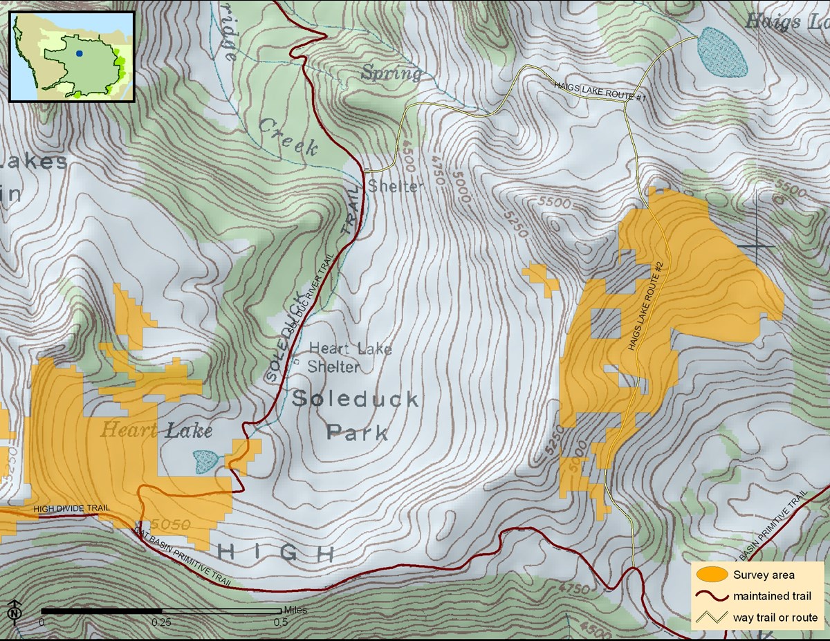 Marmot-Map-Heart Lake Swimming Bear
