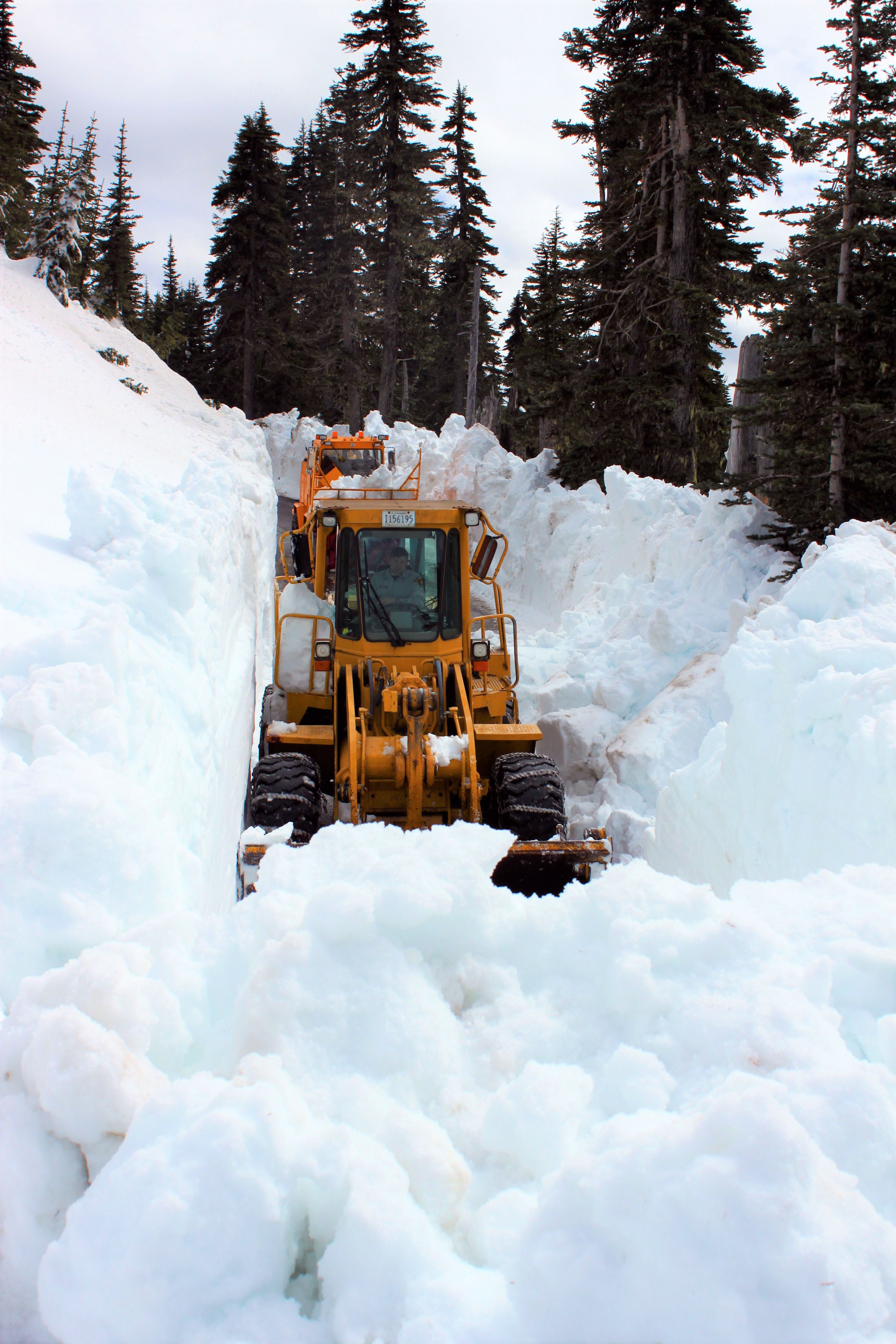 Winter 2022-2023 Bugler Newspaper - Olympic National Park (U.S ...