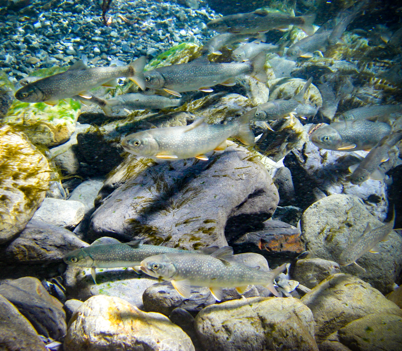 Instagram Links: Archive - Olympic National Park (U.S. National Park ...