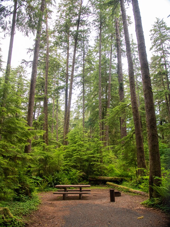 Instagram Links: Archive - Olympic National Park (U.S. National Park ...
