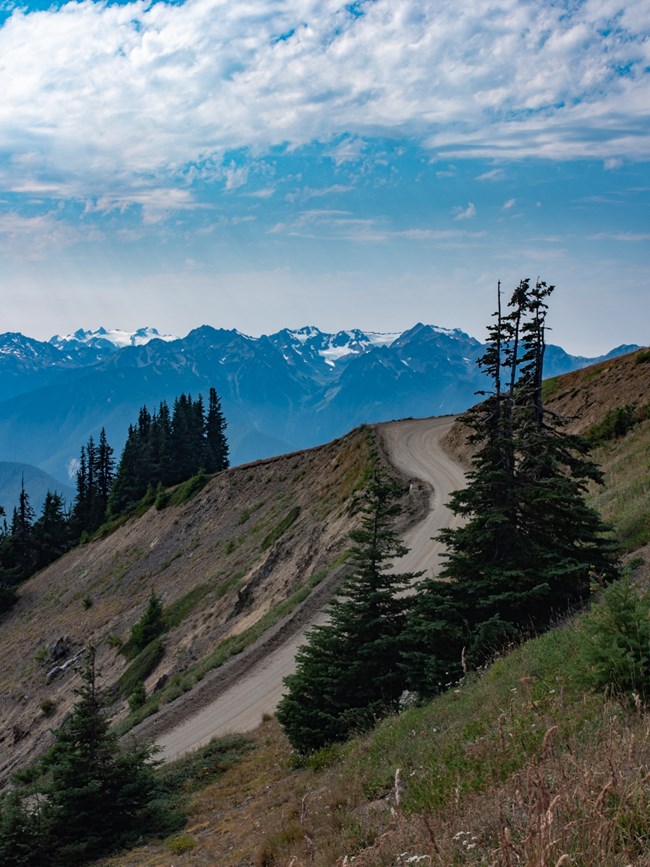 Instagram Links: Archive - Olympic National Park (U.S. National Park ...