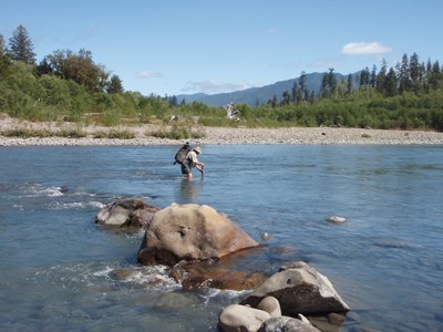 Queets River Trail - Olympic National Park (U.S. National Park Service)