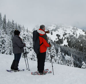 Hurricane Ridge in Winter - Olympic National Park (U.S. National Park ...