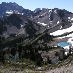 Upper Graywolf River Trail - Olympic National Park (U.S. National Park ...