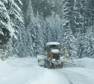 Hurricane Ridge in Winter - Olympic National Park (U.S. National Park ...