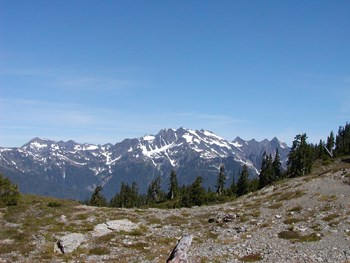 Skyline Ridge Primitive Trail - Olympic National Park (U.S. National ...
