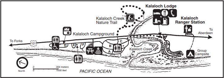 Kalaloch Area Brochure - Olympic National Park (U.S. National Park Service)