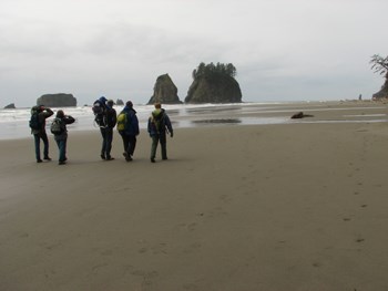 Second Beach Trail - Olympic National Park (U.S. National Park Service)