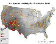 Bat Habitat Map At Ethan Fuhrman Blog