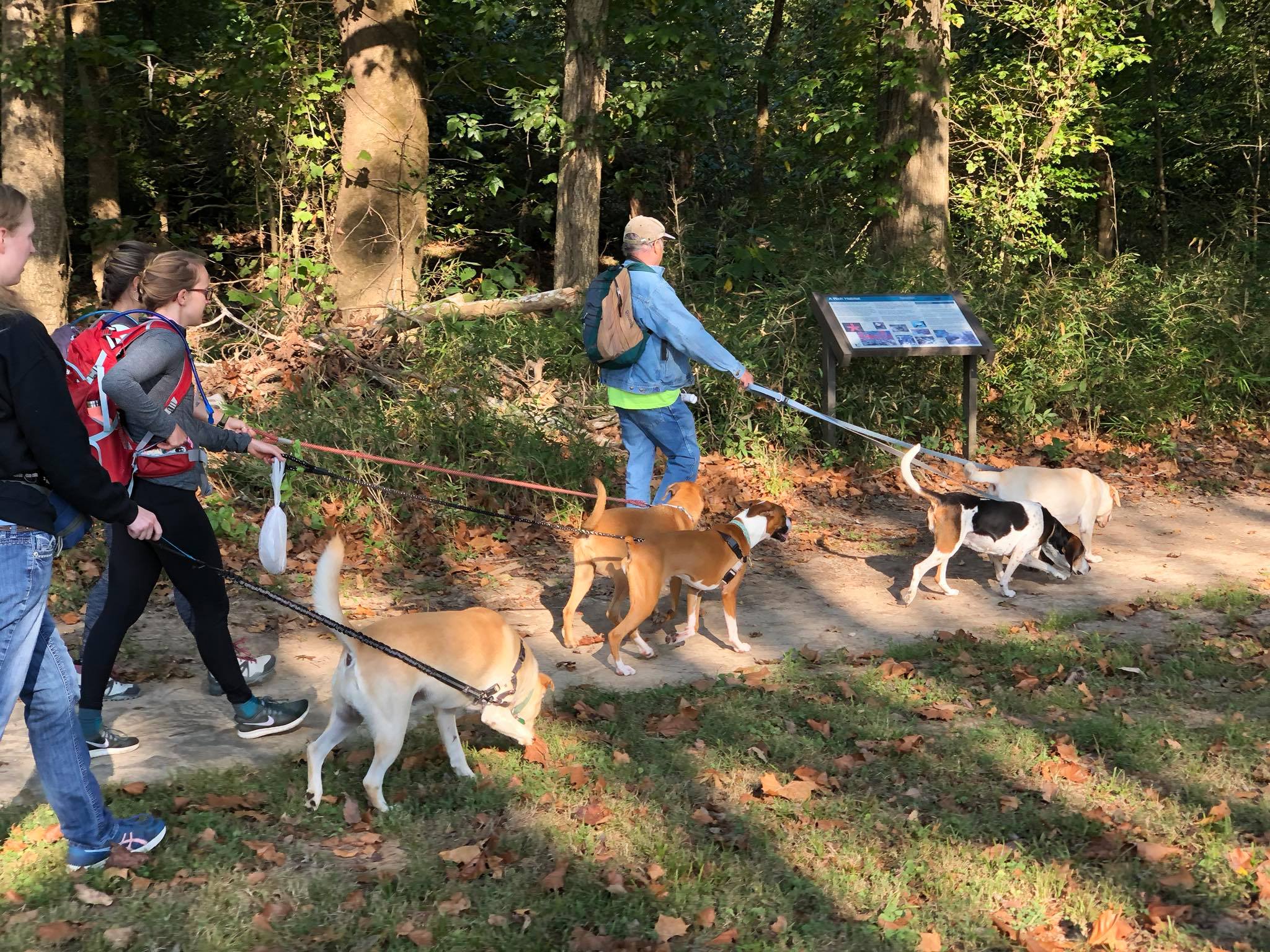 Pets in the Park - Ozark National Scenic Riverways (U.S. National Park ...