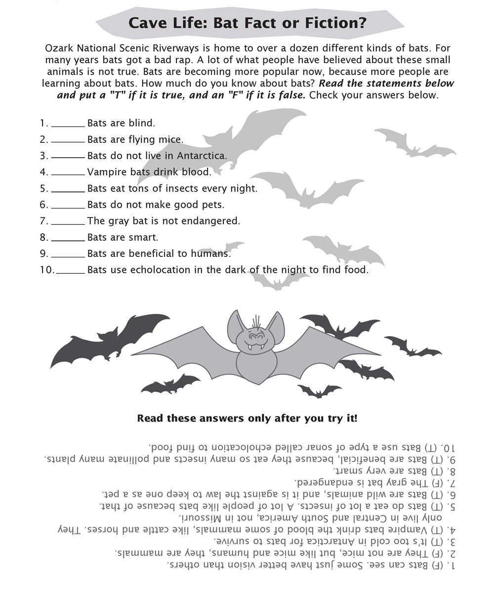 Cave Life: Bat Fact or Fiction? (U.S. National Park Service)