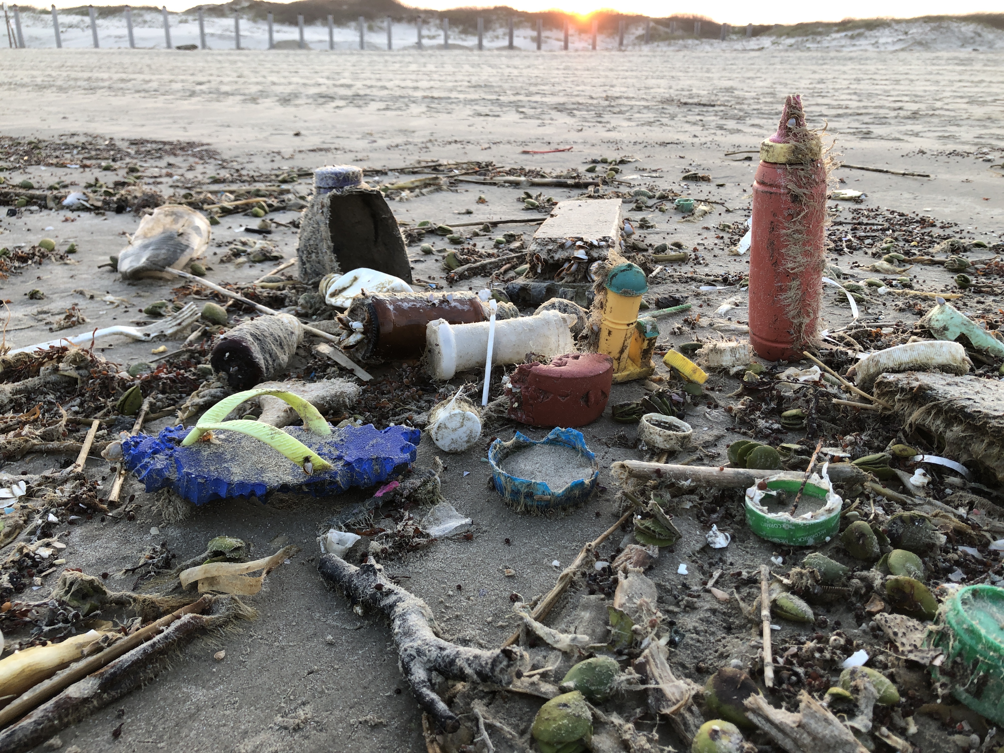 Beachcombing - Padre Island National Seashore (U.S. National Park Service)