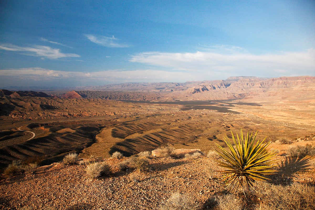 Stretching of the Basin and Range and Lifting of the Colorado Plateau ...