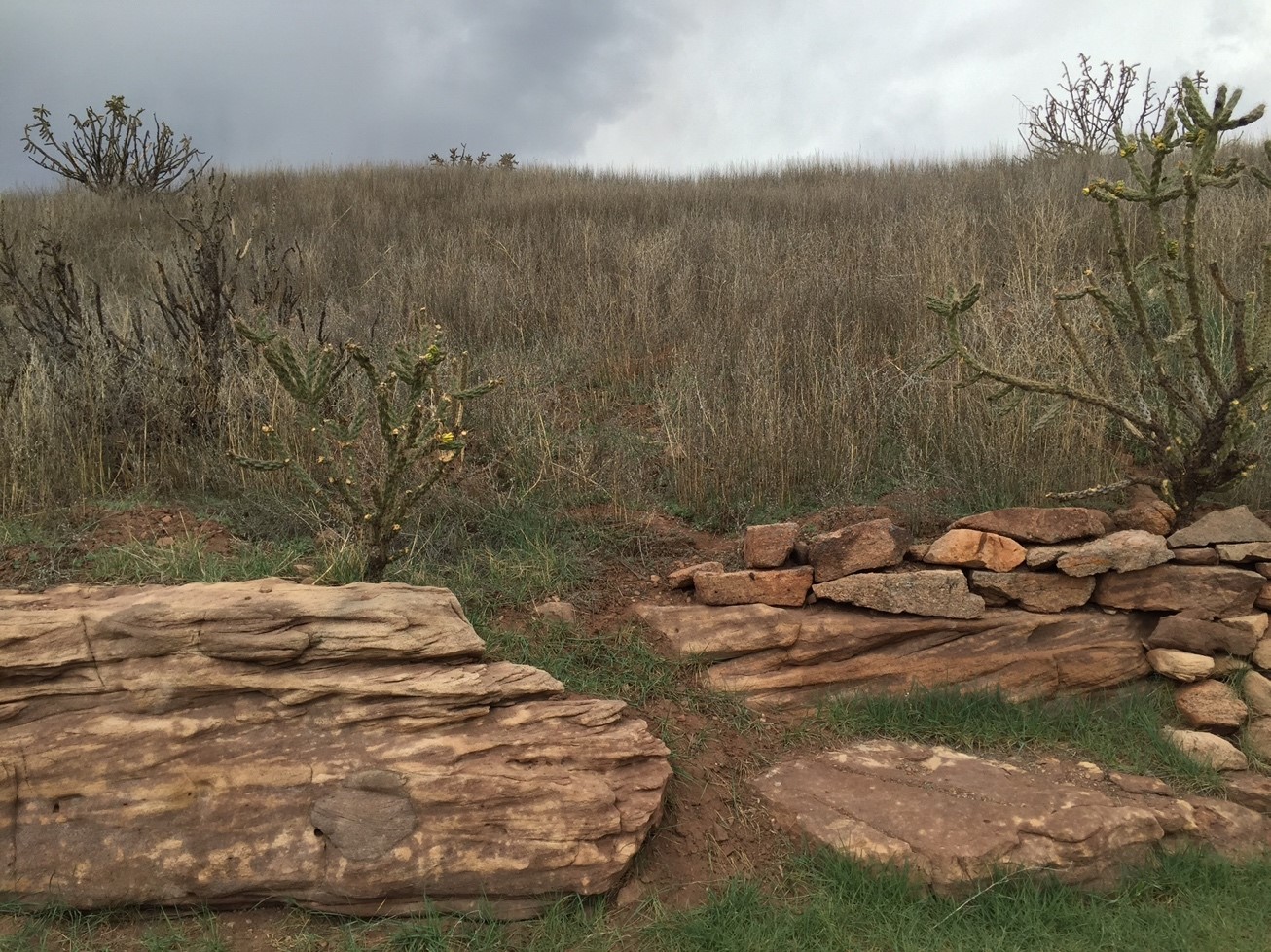 Geology - Pecos National Historical Park (U.S. National Park Service)