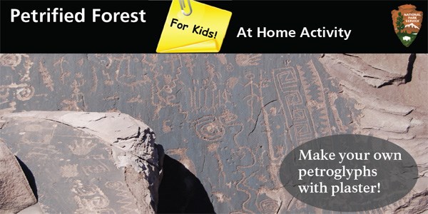 Junior Ranger Exclusives! - Petrified Forest National Park (U.S ...