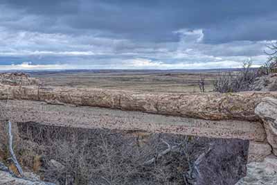 Places To Go - Petrified Forest National Park (U.S. National Park Service)