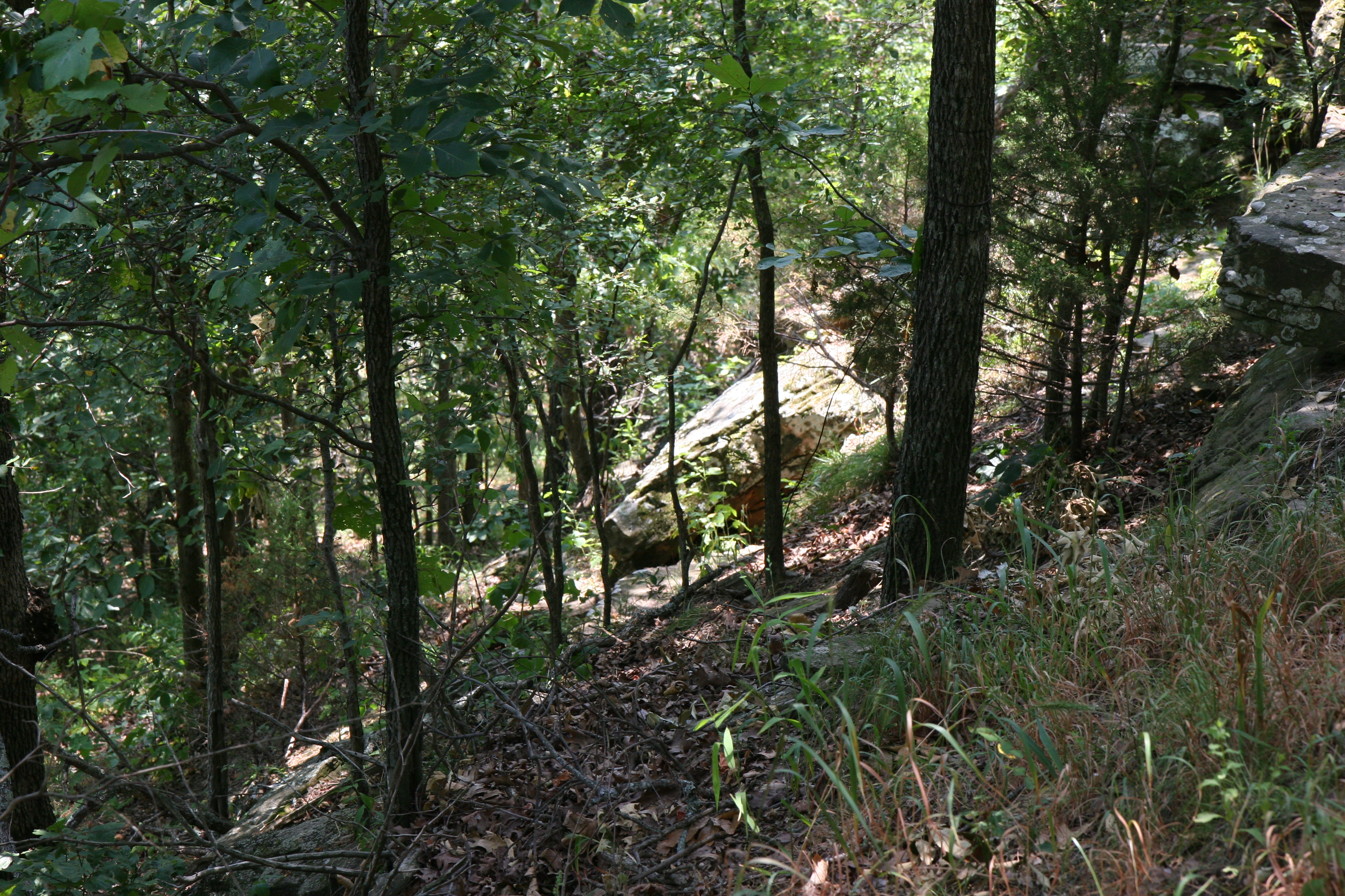 Stop 7: East Overlook-Day 2 - Pea Ridge National Military Park (U.S ...