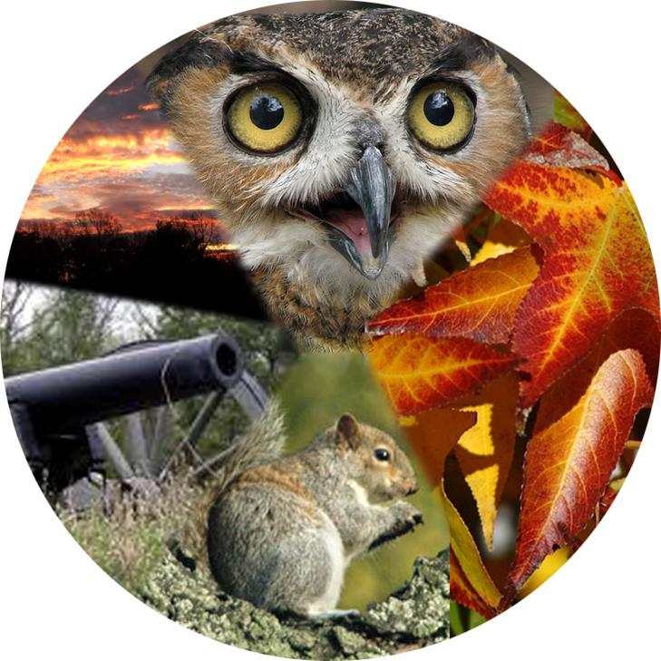 Junior Ranger - Petersburg National Battlefield (U.S. National Park ...