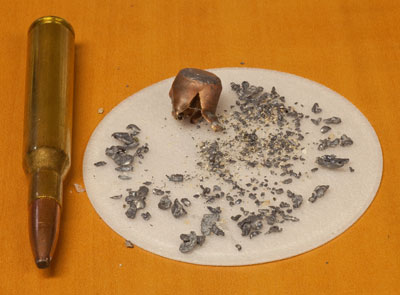 Lead Bullet Risks for Wildlife & Humans - Pinnacles National Park (U.S ...