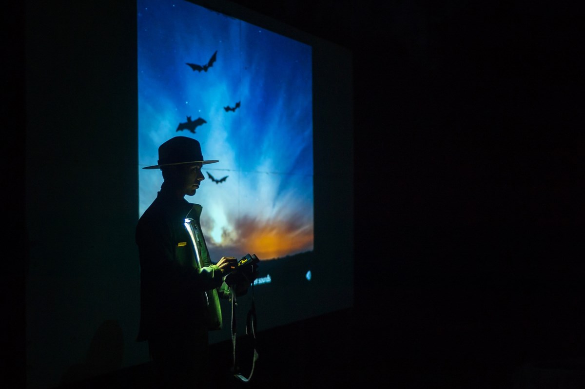 Weekly Ranger Programs - Pinnacles National Park (U.S. National Park ...