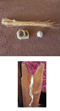 Flax - Pipe Spring National Monument (U.S. National Park Service)