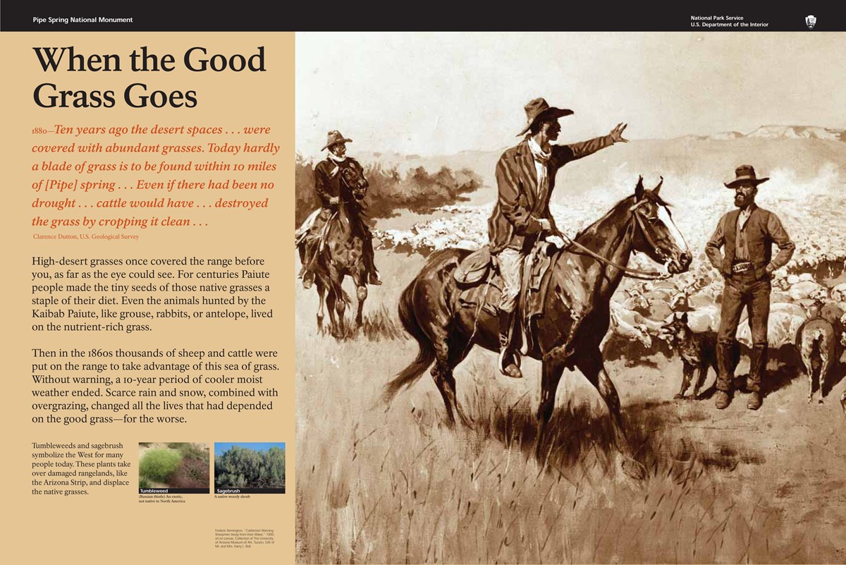 When the Good Grass Goes - Pipe Spring National Monument (U.S. National ...