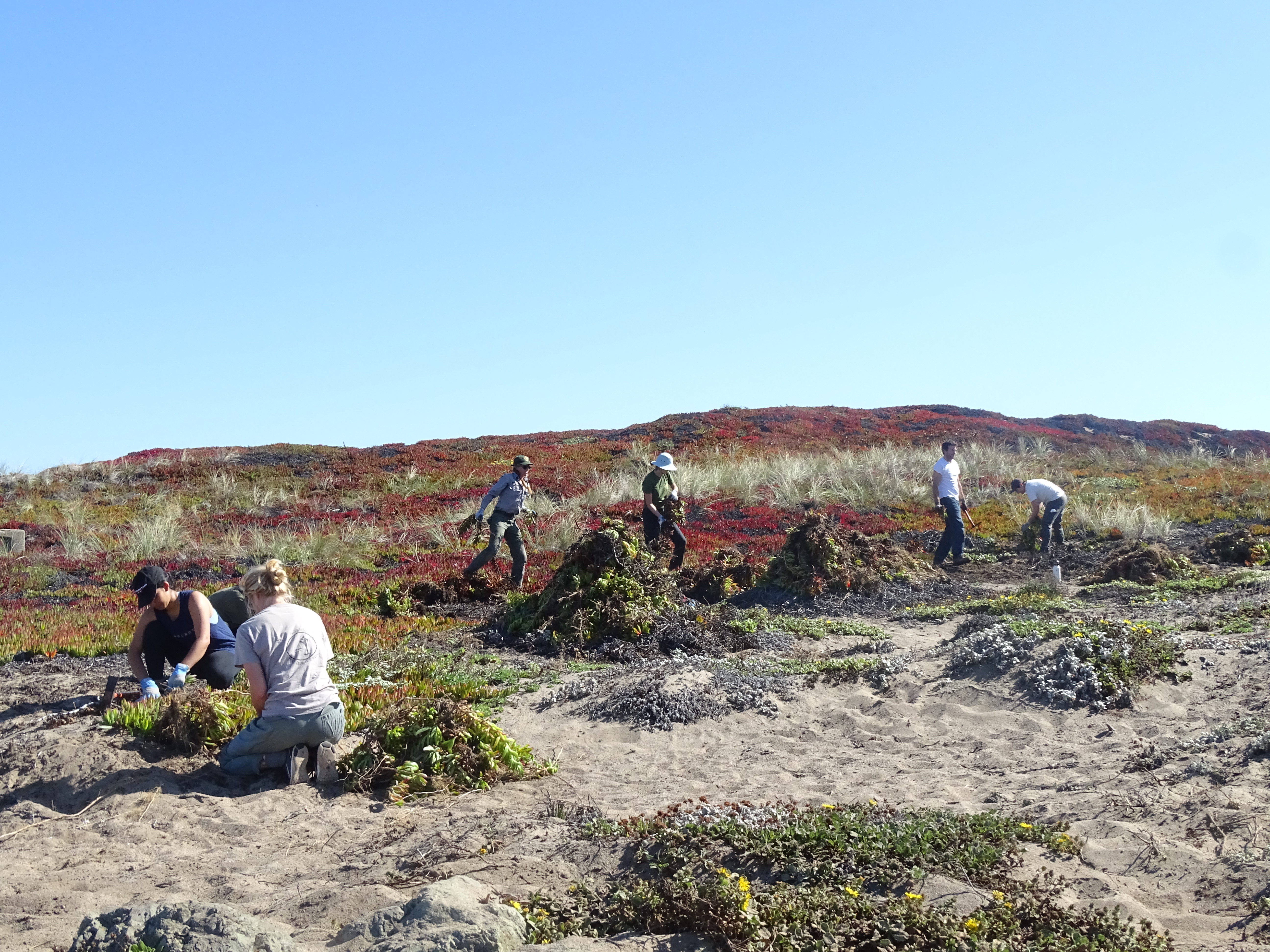 National Public Lands Day 2025 - Point Reyes National Seashore (U.S ...