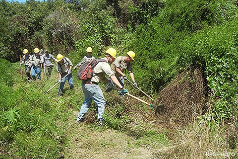 Jobs: Youth Conservation Corps - Point Reyes National Seashore (U.S ...