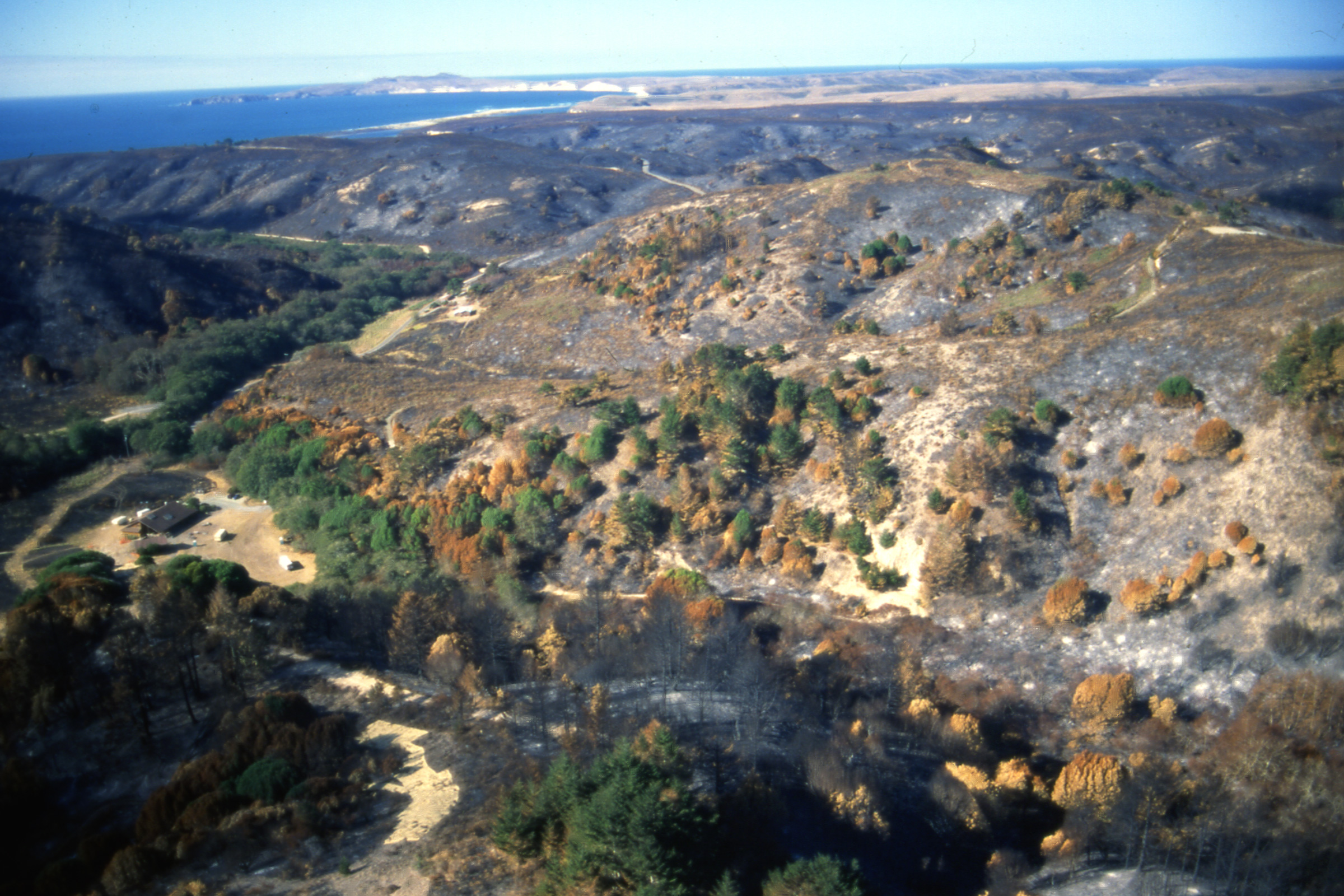 Vision Fire: Burning Issues in Fire Management - Point Reyes National ...