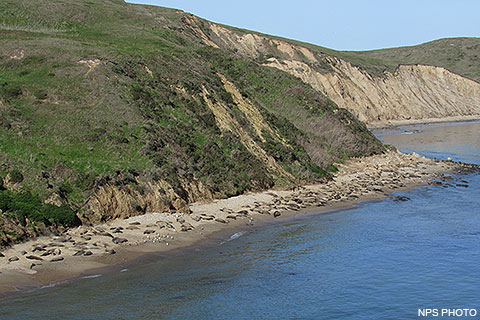 Chimney Rock - Point Reyes National Seashore (U.S. National Park Service)