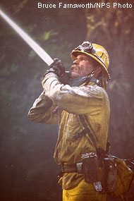 Vision Fire Update: October 14, 1995 - Point Reyes National Seashore (U ...