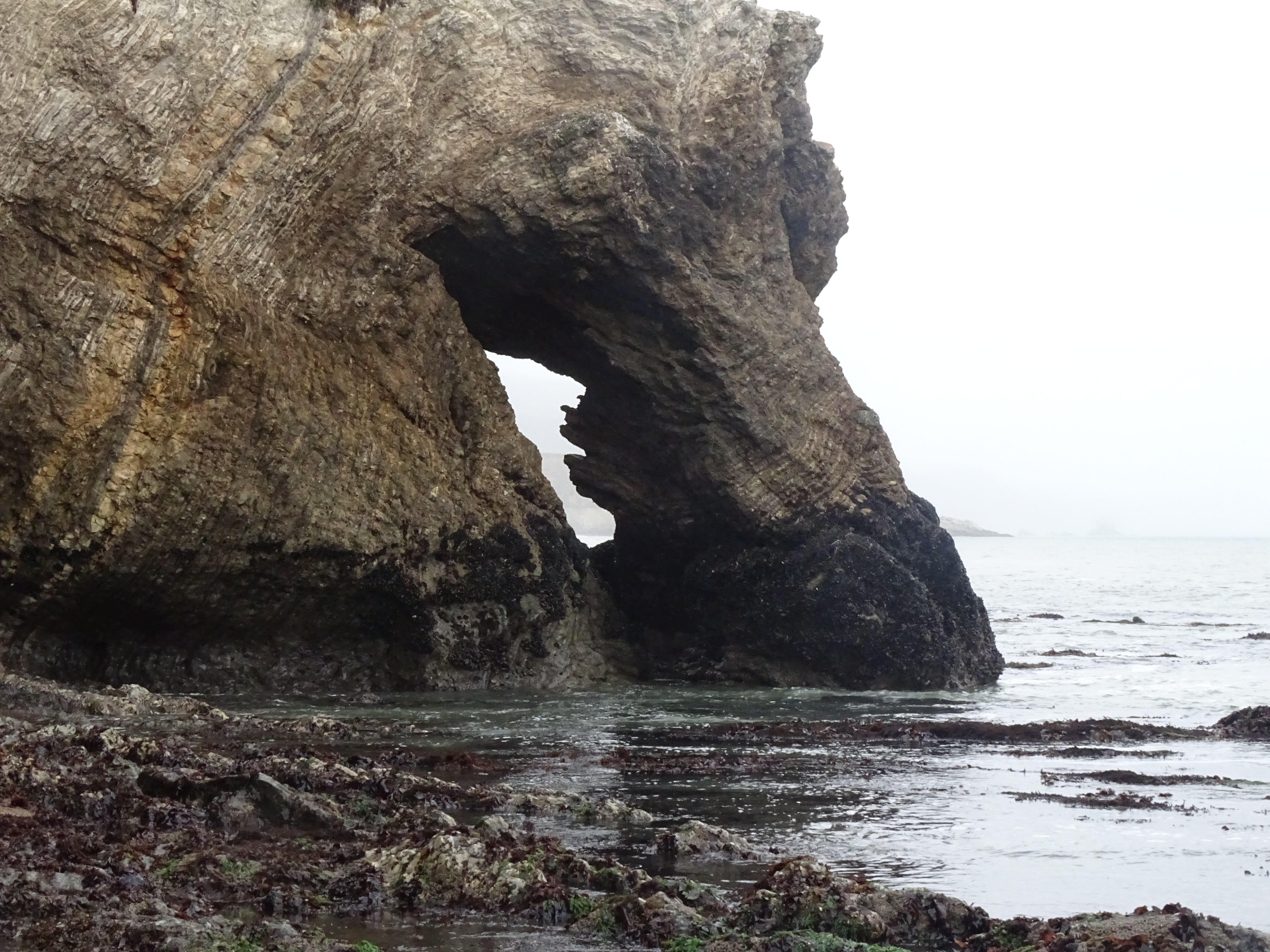 Secret Beach and Skylight Cave - Point Reyes National Seashore (U.S ...