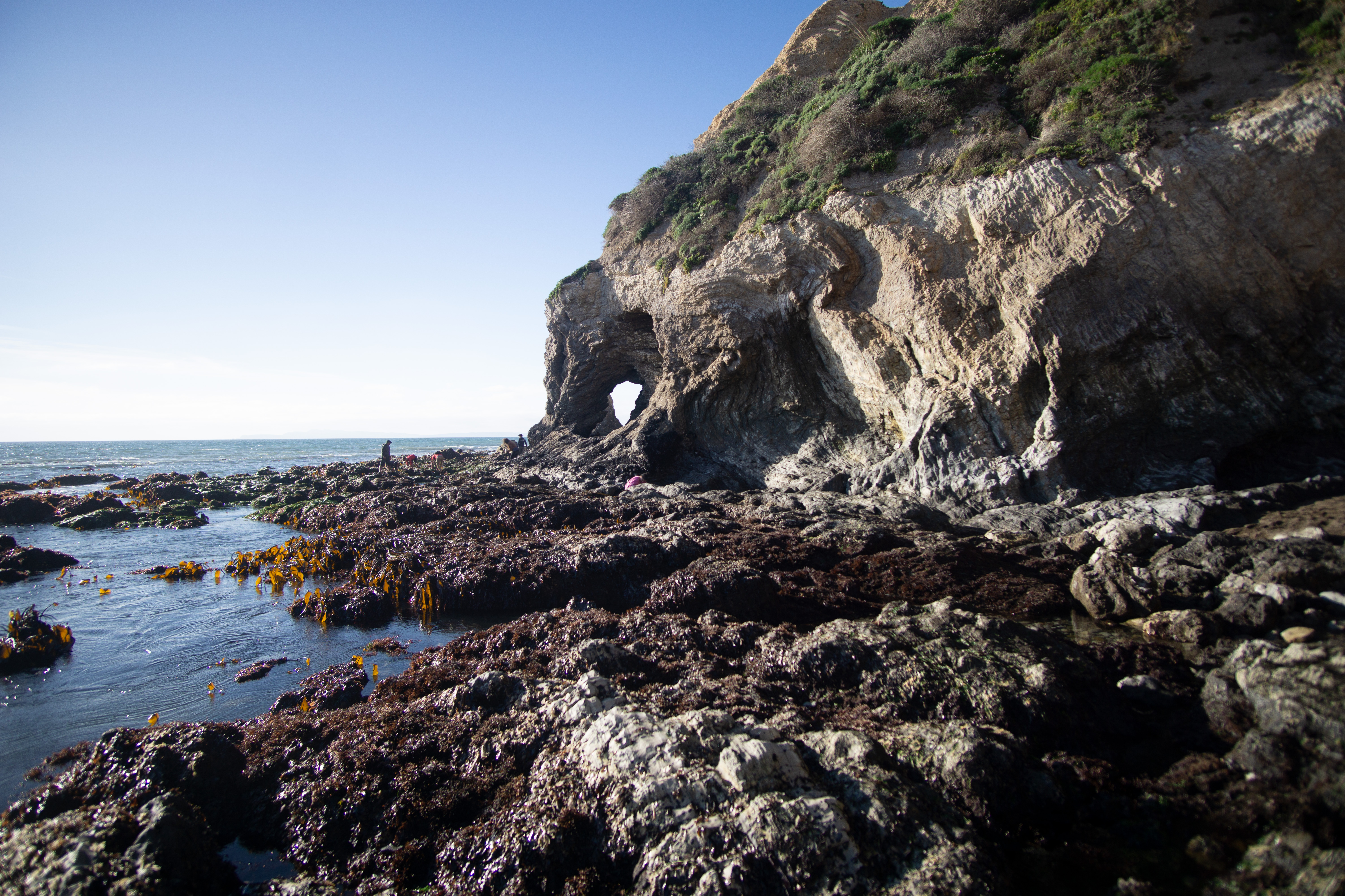 Secret Beach and Skylight Cave - Point Reyes National Seashore (U.S ...