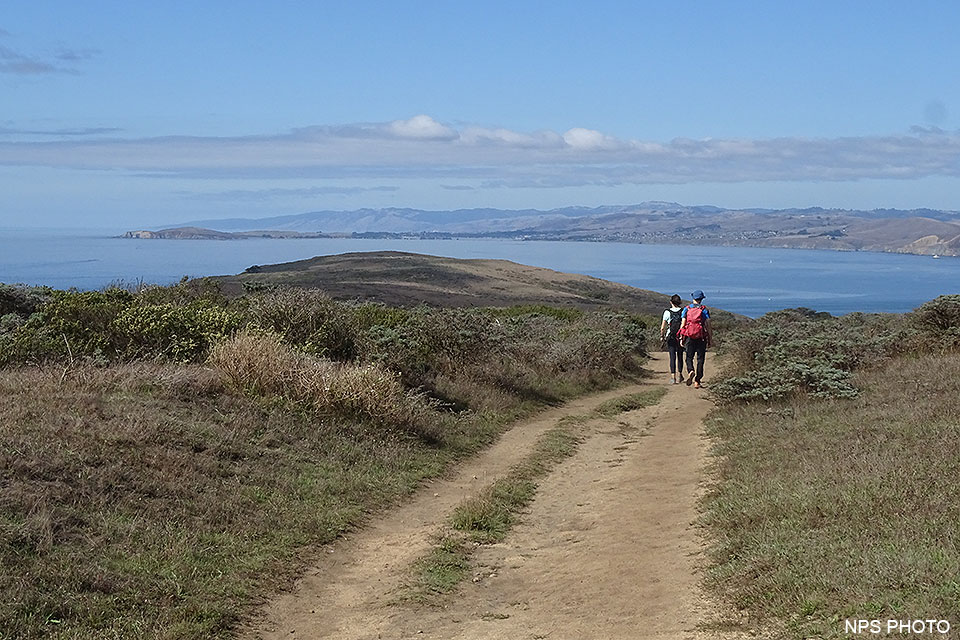 Tomales Point, Pierce Ranch, and Tule Elk - Point Reyes National ...