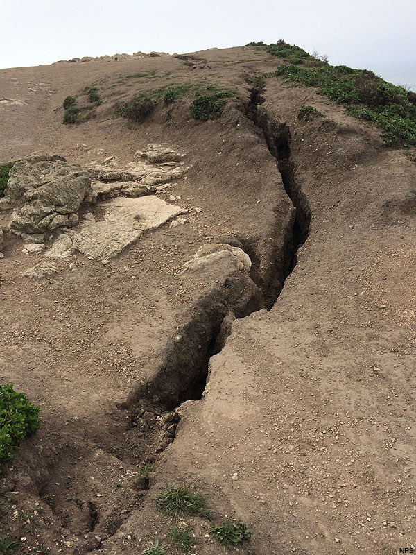 Trail Guide & Suggested Hikes - Point Reyes National Seashore (U.S ...