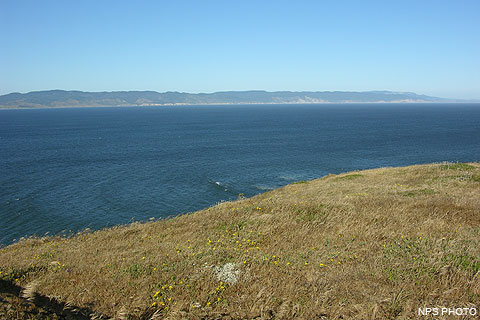 Chimney Rock - Point Reyes National Seashore (U.S. National Park Service)