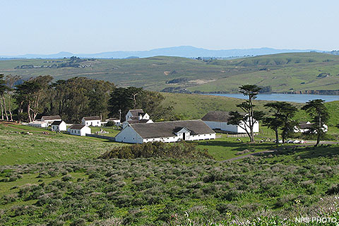 Tomales Point, Pierce Ranch, and Tule Elk - Point Reyes National ...