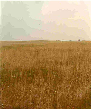 National Natural Landmarks - National Natural Landmarks (U.S. National ...