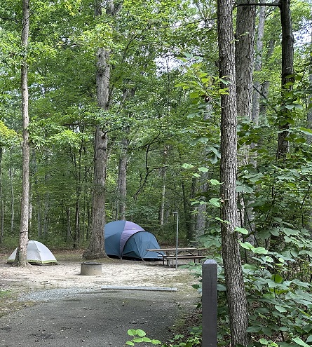 Oak Ridge Campground - Prince William Forest Park (U.S. National Park ...