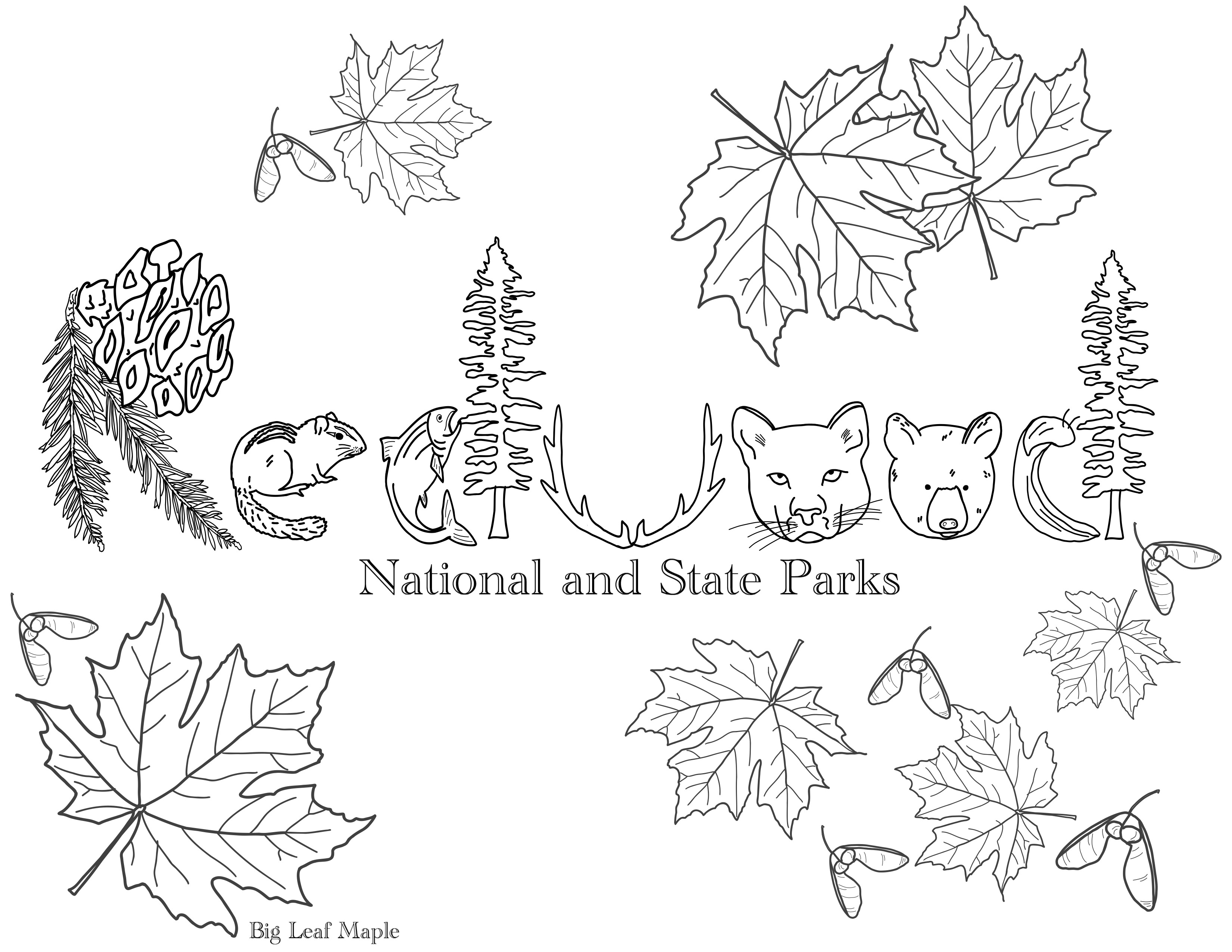 FallColoringChallenge - Redwood National and State Parks (U.S. National ...