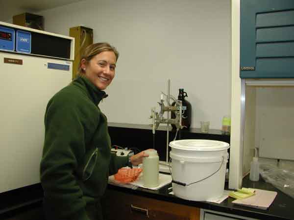 National Acid Deposition Sampling - Rocky Mountain National Park (U.S ...